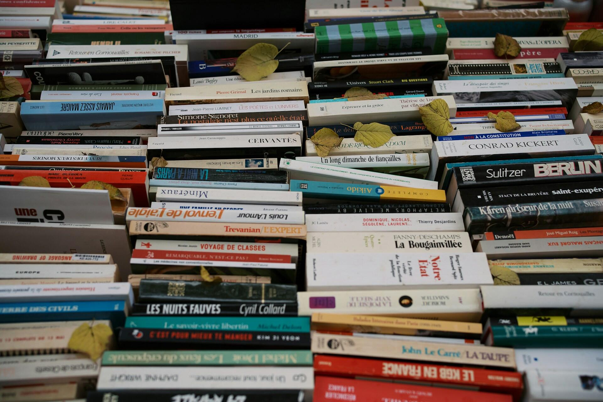 Quiz Franse literatuur: Hoe goed ken jij de klassiekers?